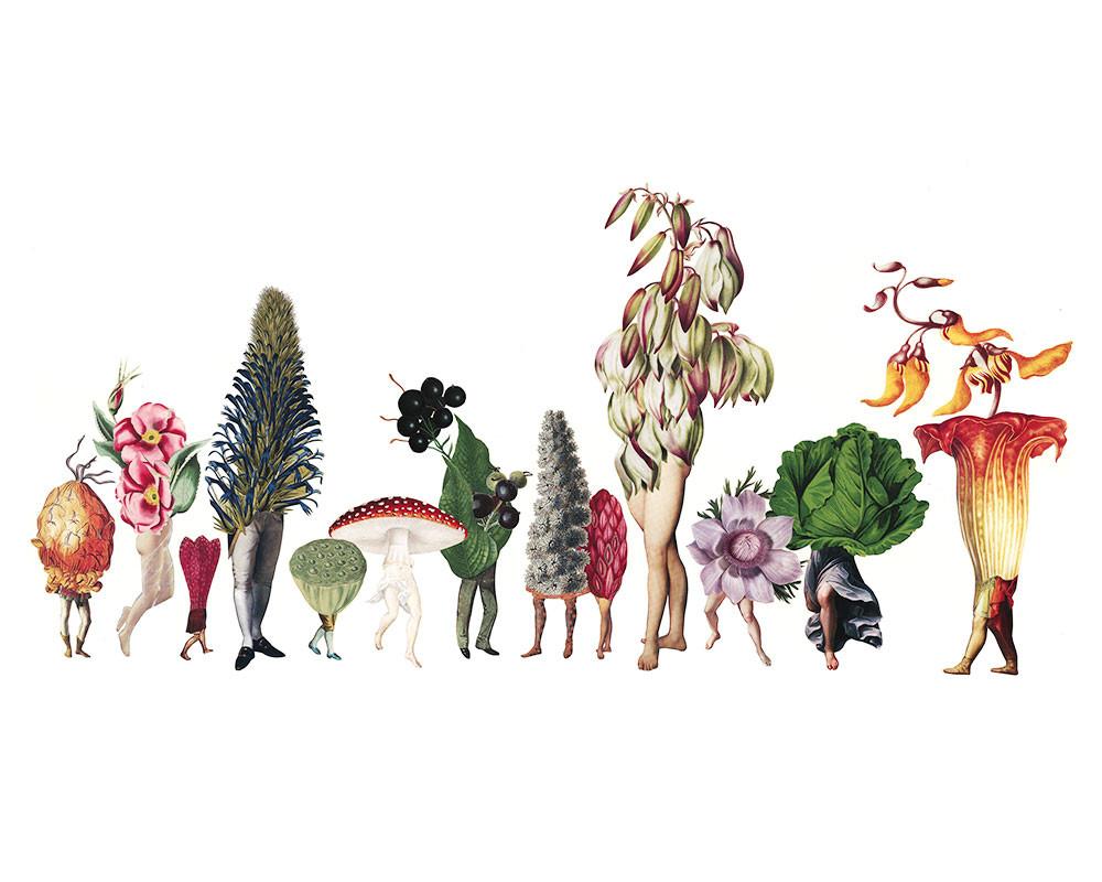 This Thing's Got Legs: New Art by Amy Ross