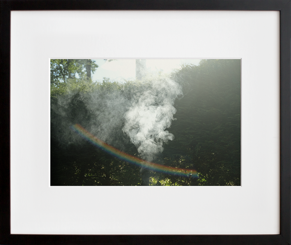 Flora Hanitijo's Smoke | 20x200