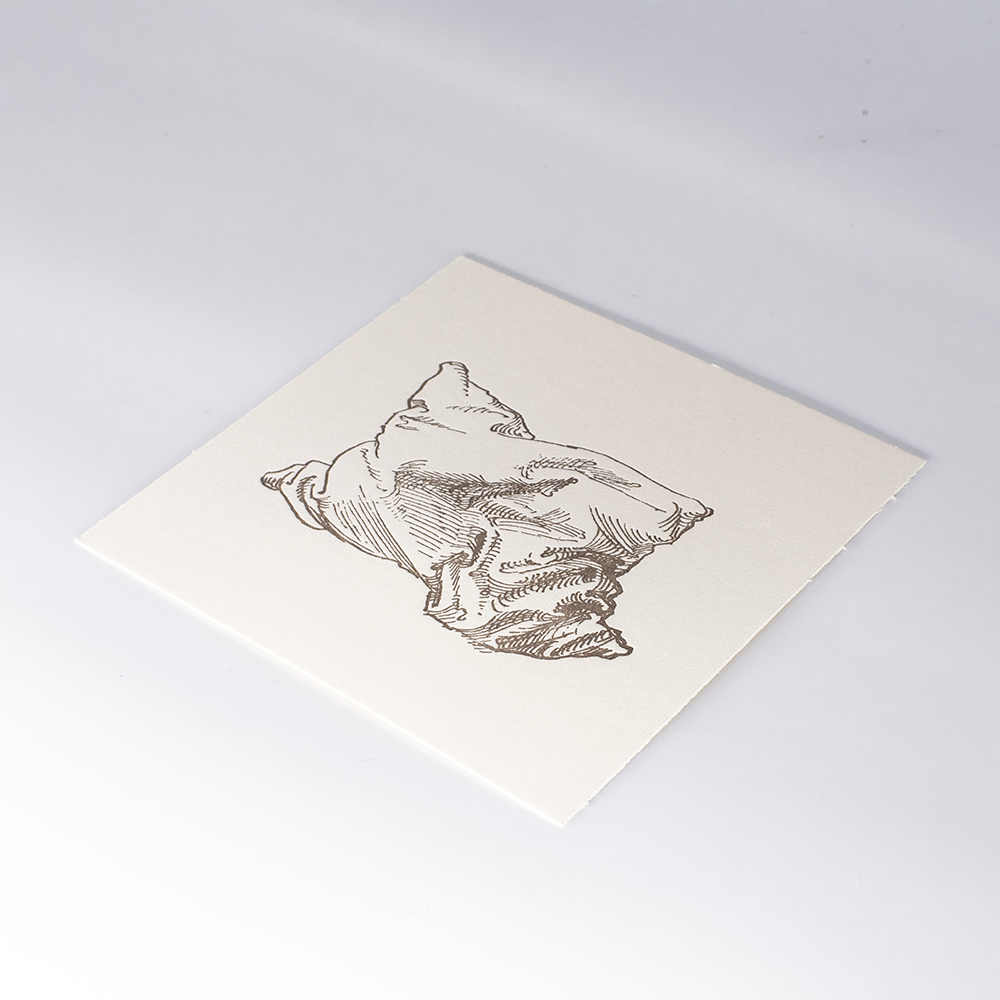 Albrecht Dürer's Single Pillow Studies Letterpress | 20x200