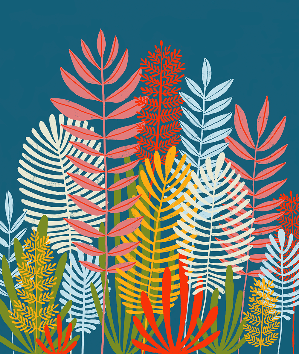 Ferns