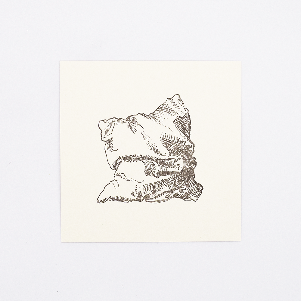 Albrecht Dürer's Single Pillow Studies Letterpress | 20x200
